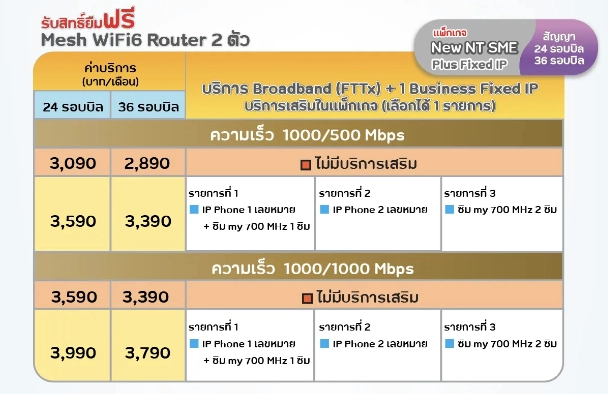 NT SME Plus เน็ตสำหรับทุกธุรกิจ เร็ว แรง ทะลุ 1000/1000 Mbps* | ปันโปร - Punpromotion